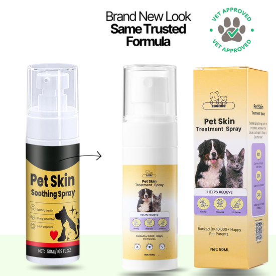 Vet-backed skin relief spray – Zoomie